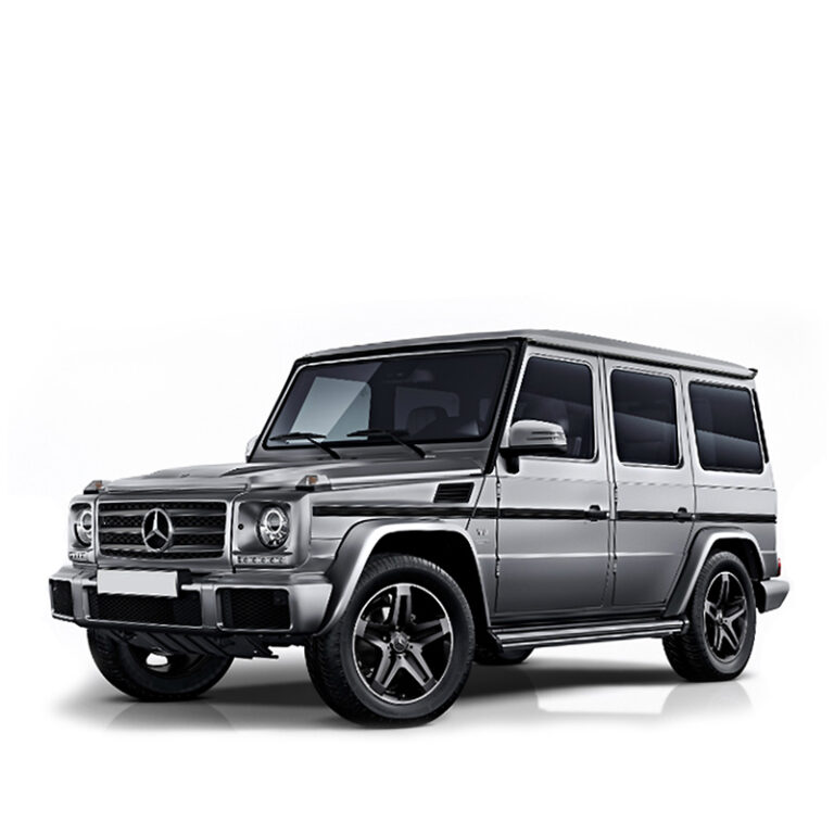MERCEDES G CLASS W463 Speedometer Calibration Device | Super Kilometer ...